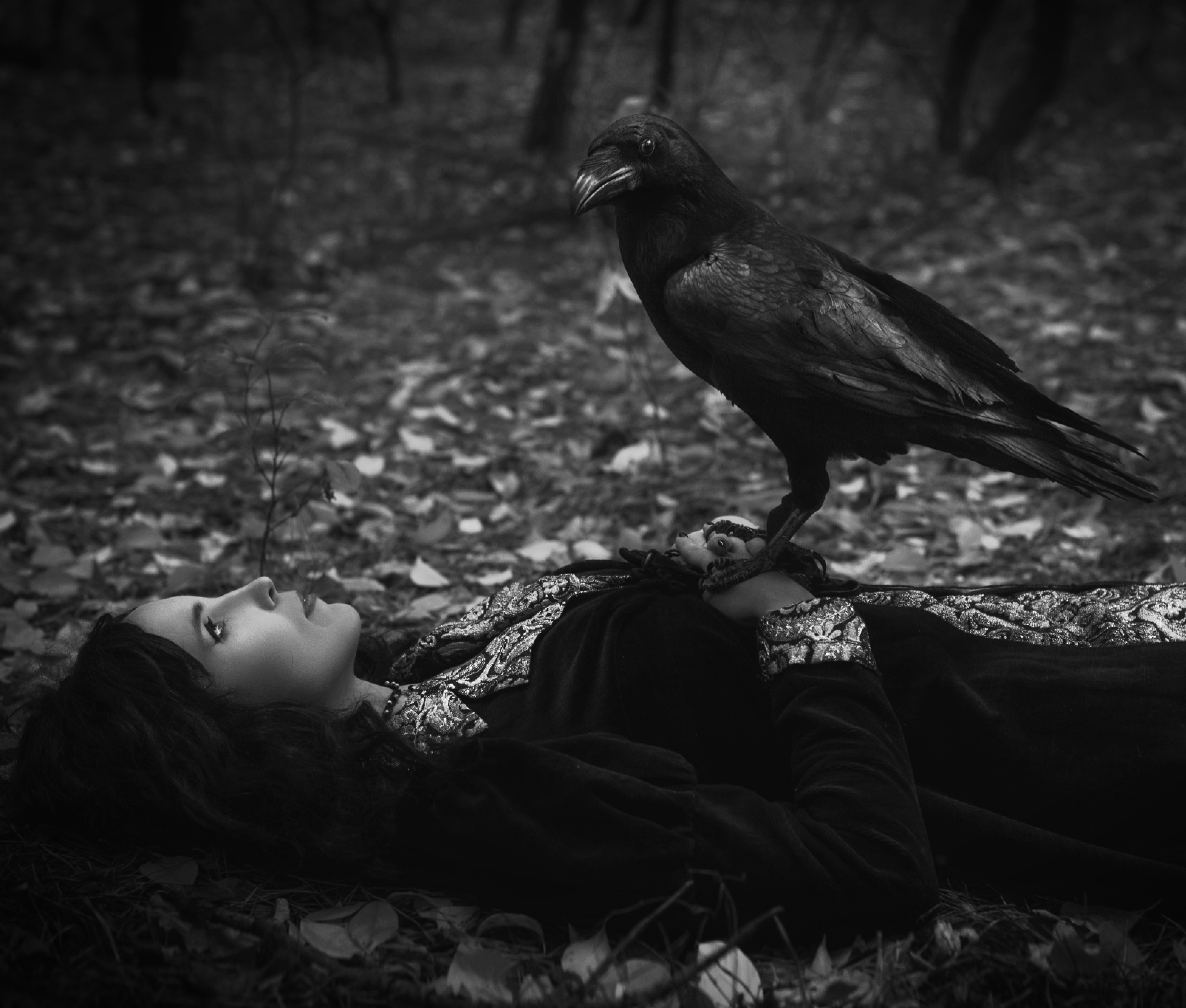 Nevermore (pumpkin, dark oud wood, cinnamon bark, clove, black tea, ca ...